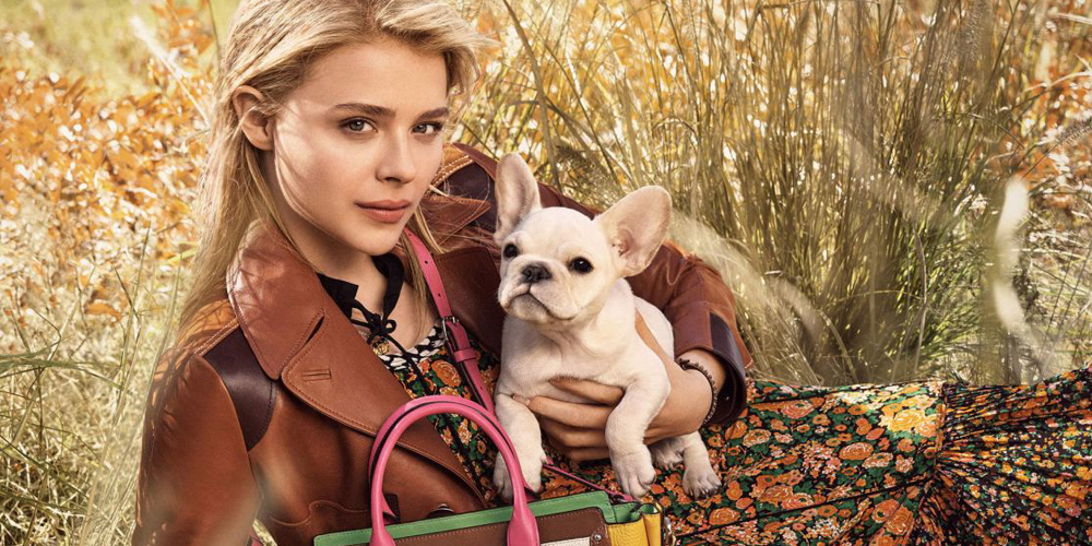 Chloe Moretz Stars In Coach’s Spring 2016 Campaign | Chloe Moretz ...