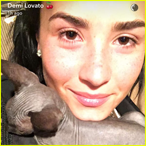 Demi Lovato Is Allergic to Her New Hairless Cat! | Demi Lovato | Just ...