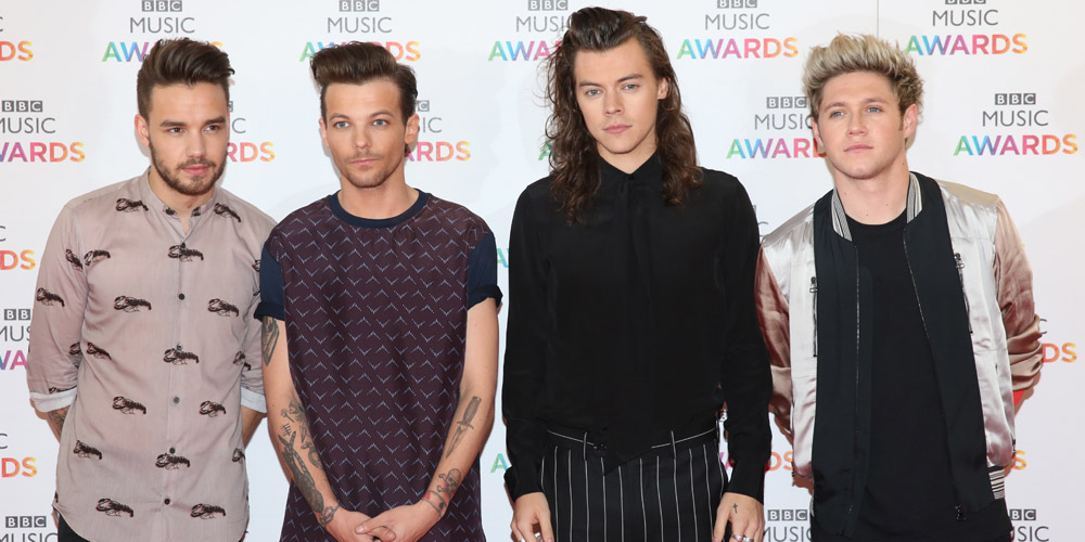 Louis Tomlinson Wasn’t Expecting One Direction’s Hiatus | Louis ...