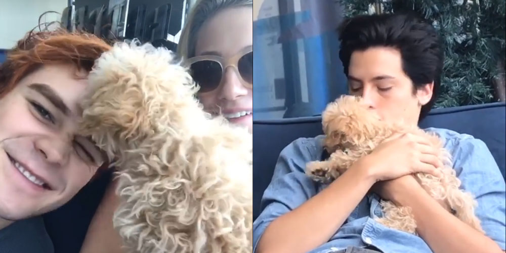 Cole Sprouse Cuddles With Candice Patton’s Puppy Zoe at Comic-Con 2017 ...