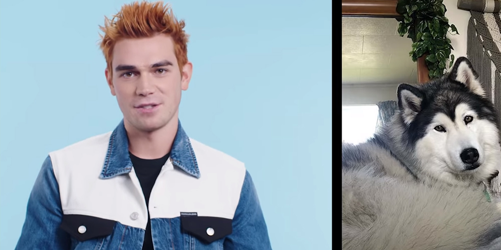 KJ Apa Follows The Dog He Had To Give Up on Instagram | KJ Apa | Just ...