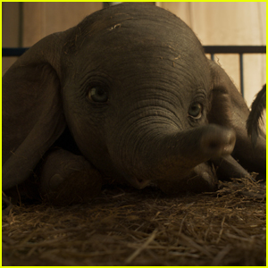 Dumbo Photos, News, and Videos | Just Jared Jr.