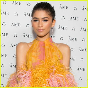 Zendaya Updates Fans With Funny Videos After Getting Her Wisdom Teeth ...