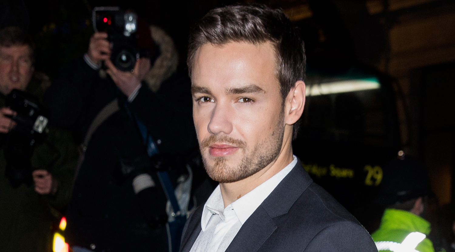 Liam Payne Suits Up for Portrait Gala in London | Alexa Chung, Jourdan ...