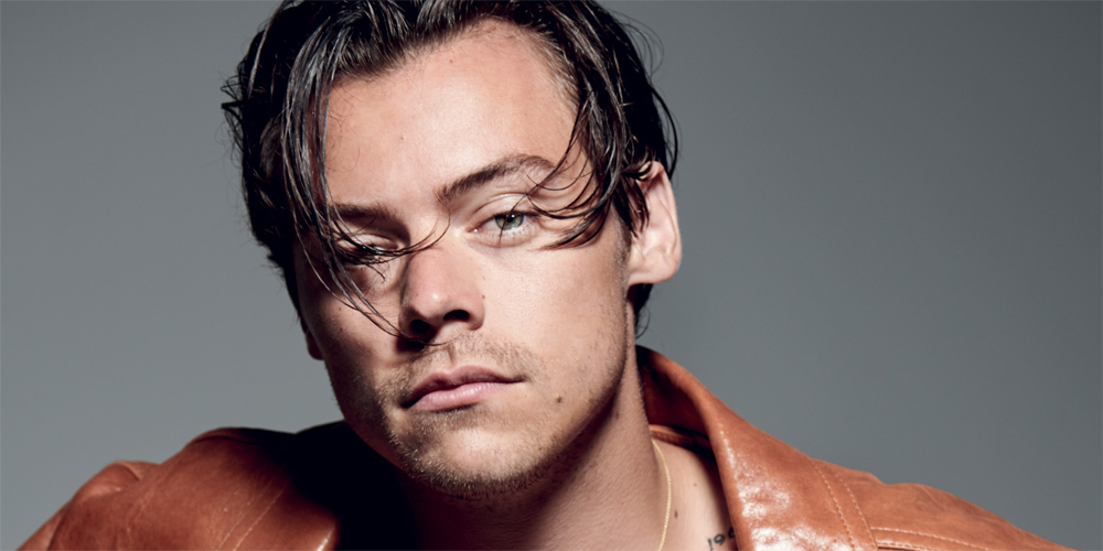 Harry Styles Reveals The Reason He Passed on Playing Prince Eric in ...