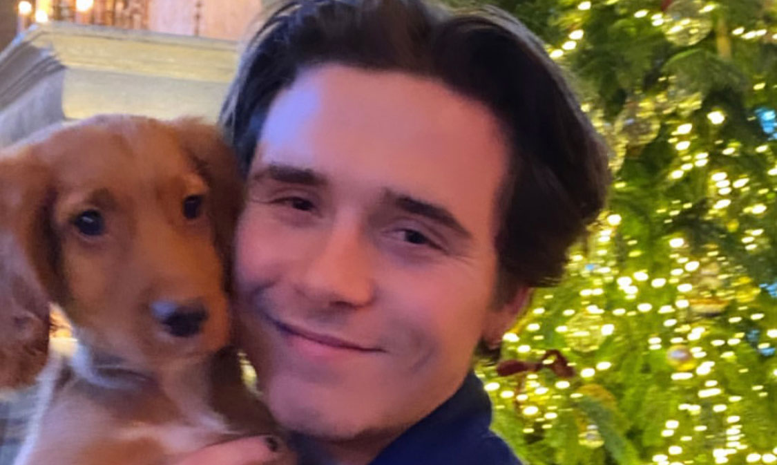 Brooklyn Beckham Introduces the Family’s New Dog Sage! | 2019 Christmas ...