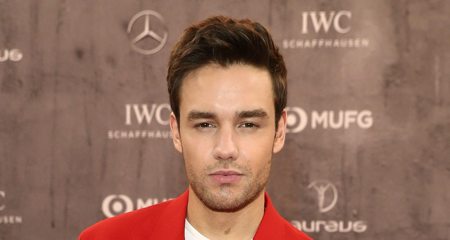 Liam Payne Talks Engagement For The First Time In New Interview | Liam ...
