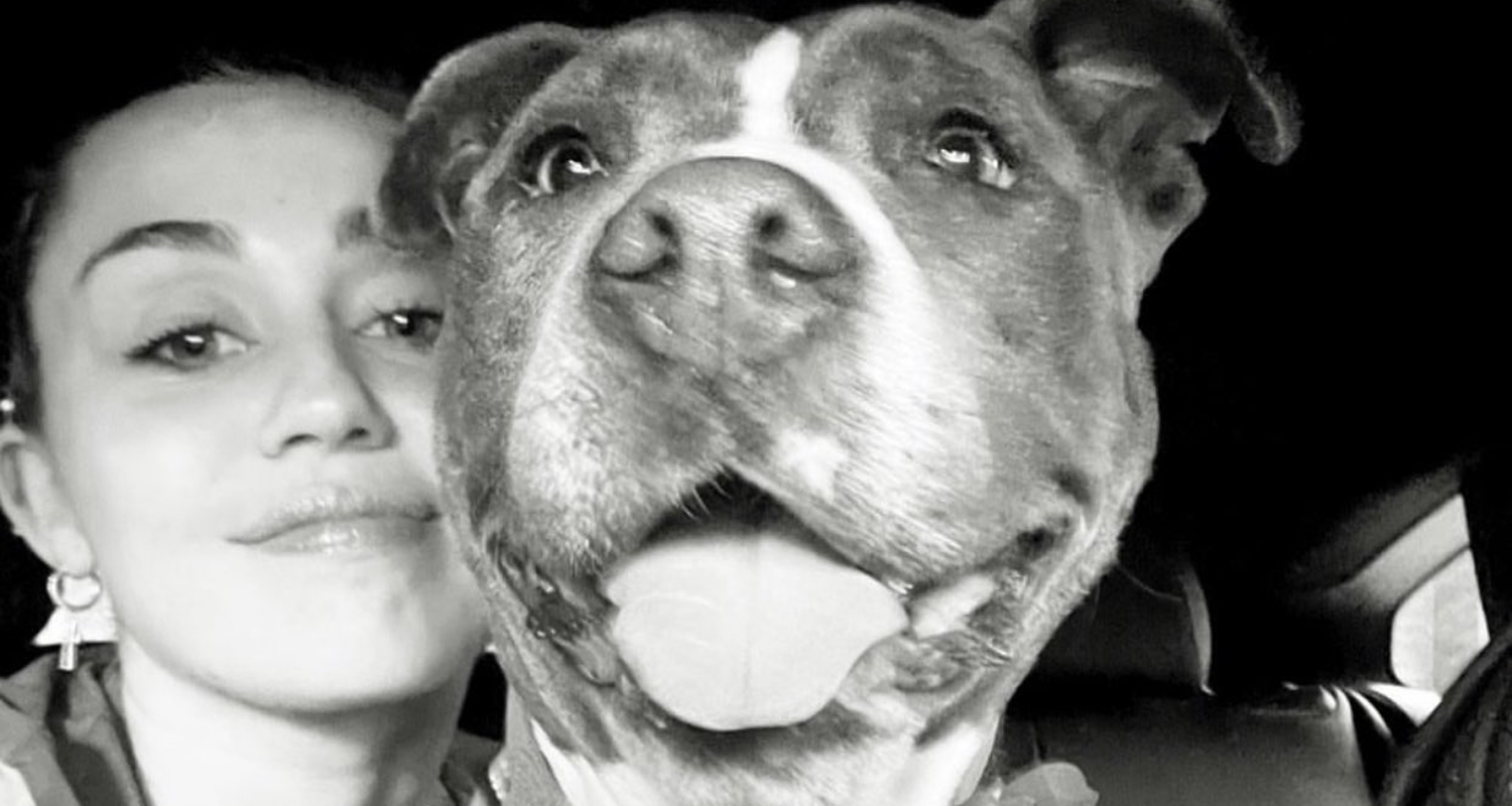 Miley Cyrus Introduces Fans To Her Newly Adopted Dog Angel! | Celebrity ...