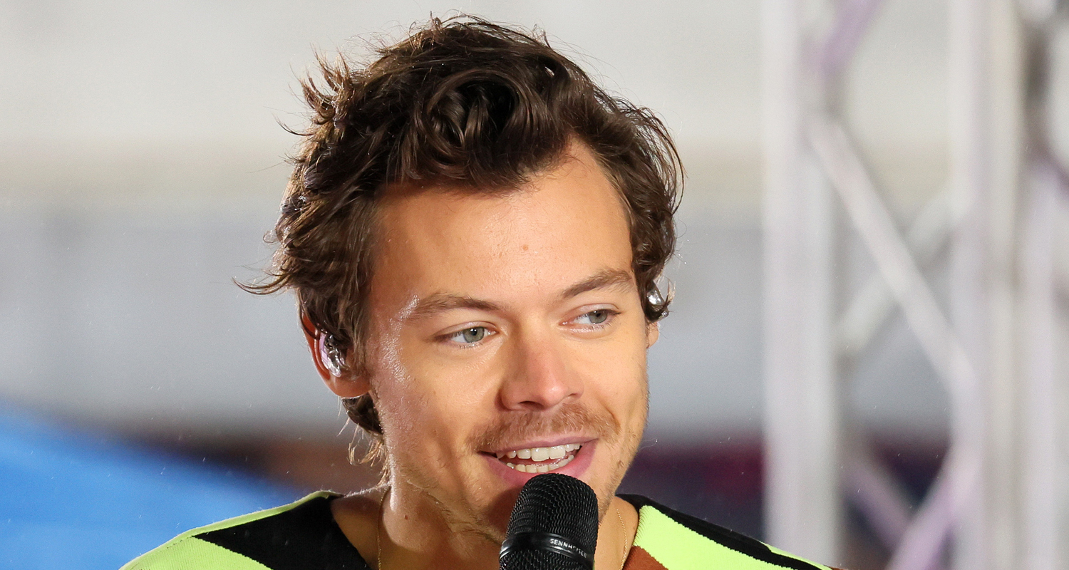 Harry Styles Talks Having a Work/Life Balance: ‘Working Is Not ...