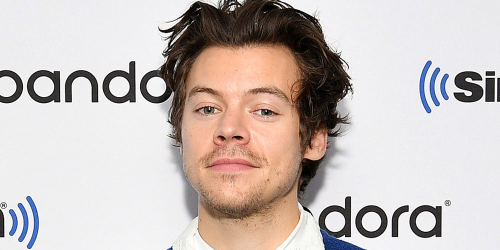 Marvel Boss Kevin Feige Hints at Harry Styles’ ‘Exciting’ Return as ...