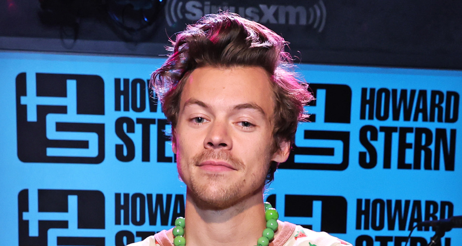 Harry Styles Responds to Queerbaiting Accusations | Harry Styles | Just ...