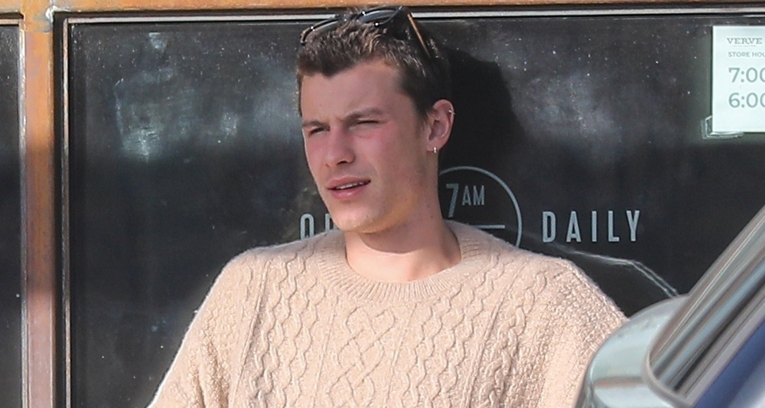 Shawn Mendes Meets Up with Friends for Coffee in Los Angeles | Shawn ...